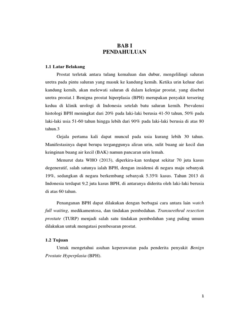 Makalah BPH FIX | PDF