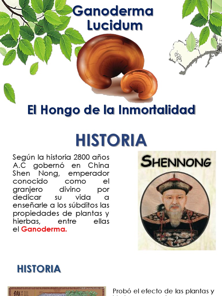 Ganoderma | PDF | Cáncer | Sistema inmune