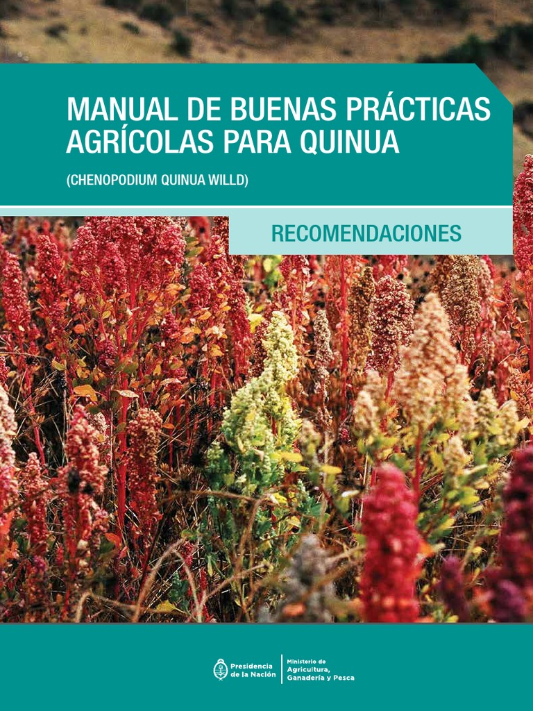 BPA Quinua | PDF | Quinua | Pesticida