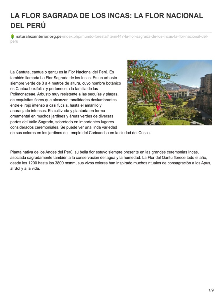 .Pe-La Flor Sagrada de Los Incas La Flor Nacional Del Perú | PDF ...