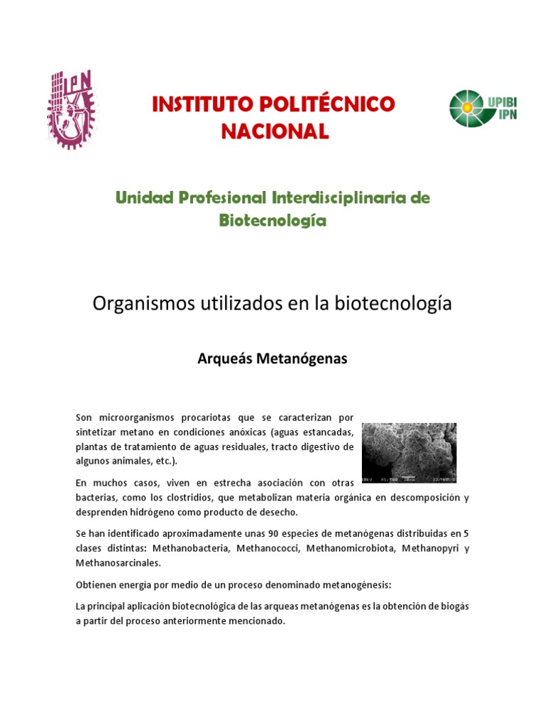 Arqueás Metanógenas | Descargar gratis PDF | Biogás | Archaea