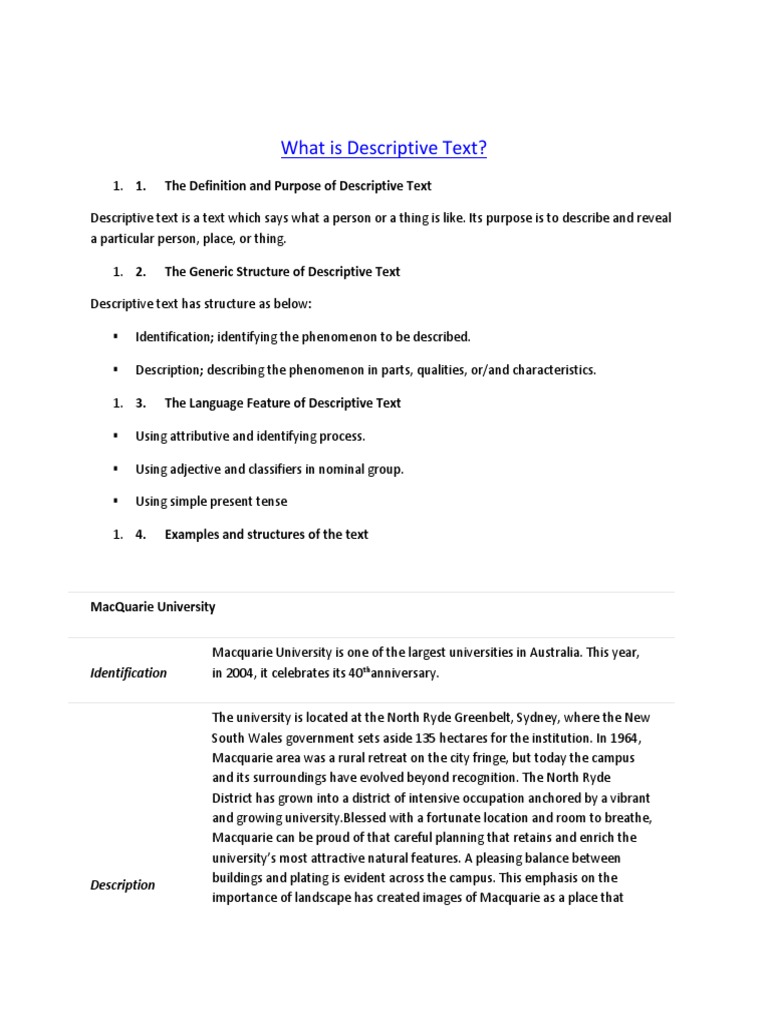 Understanding Descriptive Text Basics | PDF
