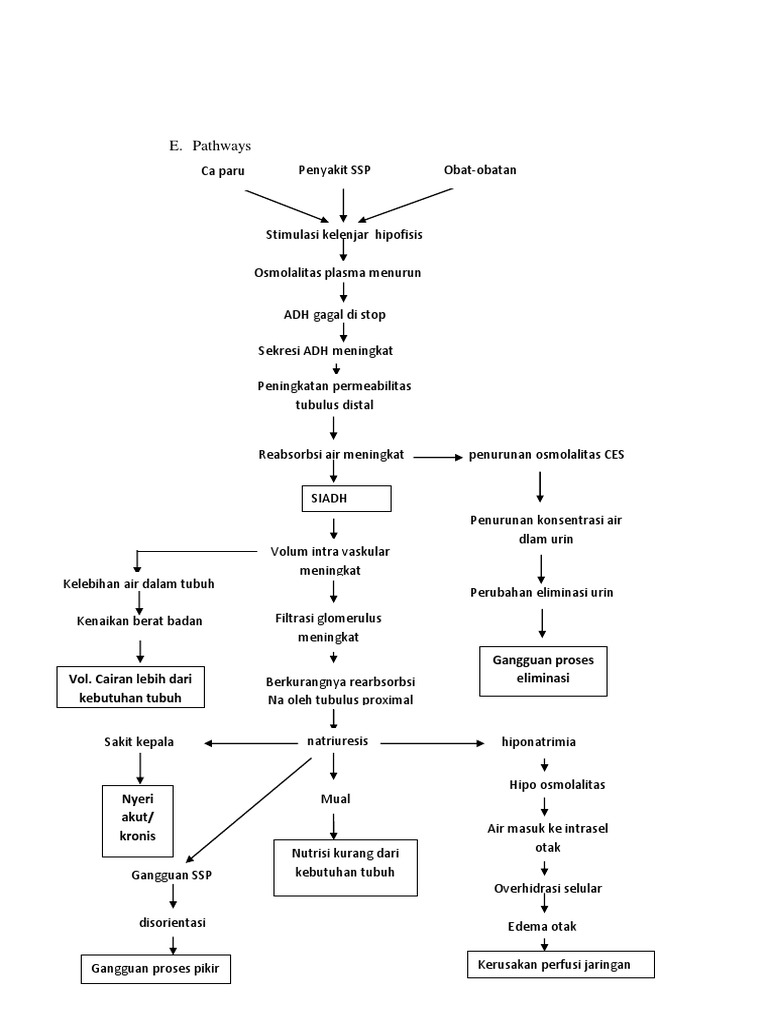 Pathway SIADH | PDF