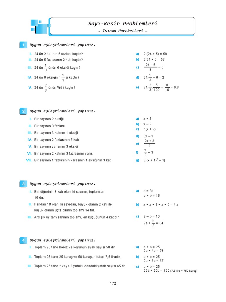 Sayi Kesir Problemleri | PDF