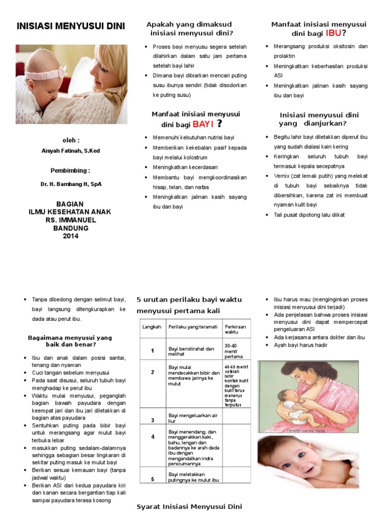 Leaflet Inisiasi Menyusui Dini - Aisyah Fatinah | PDF