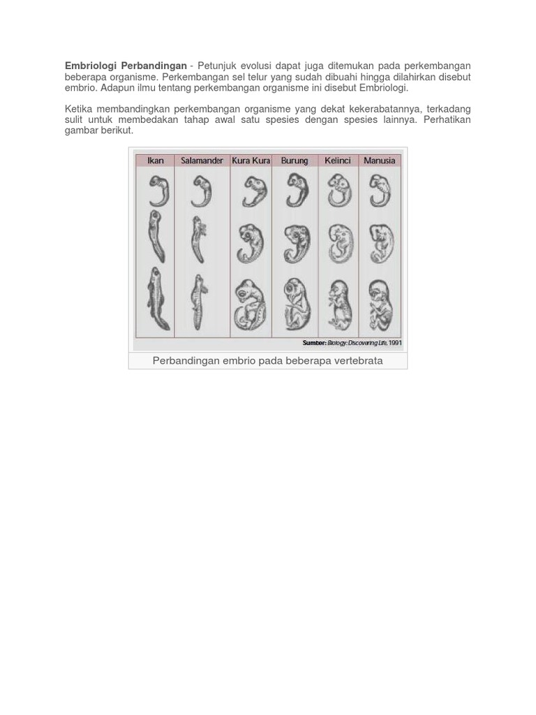 Embriologi Perbandingan | PDF