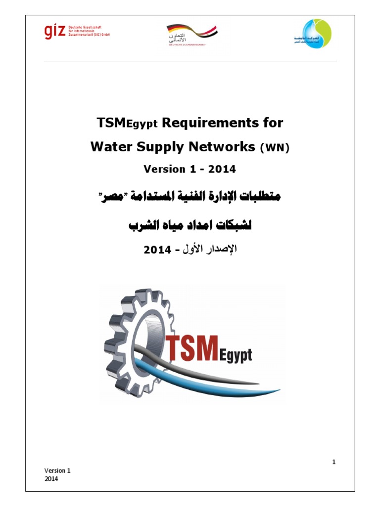 TSM-Egypt Water Network Requirements 2014 | PDF