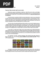 The Potentiality of Using Pulverized Oyster Shells As A Sustainable ...