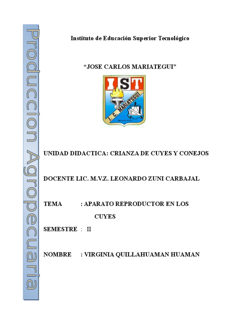 Aparato Reproductor de Cuyes Macho y Hembra | PDF | Testículo | Útero