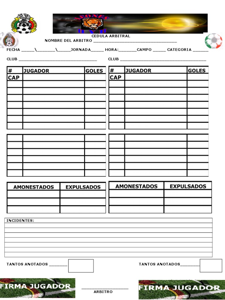 Cedula Arbitral | PDF