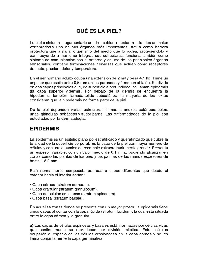 Piel Pdf Epidermis Piel