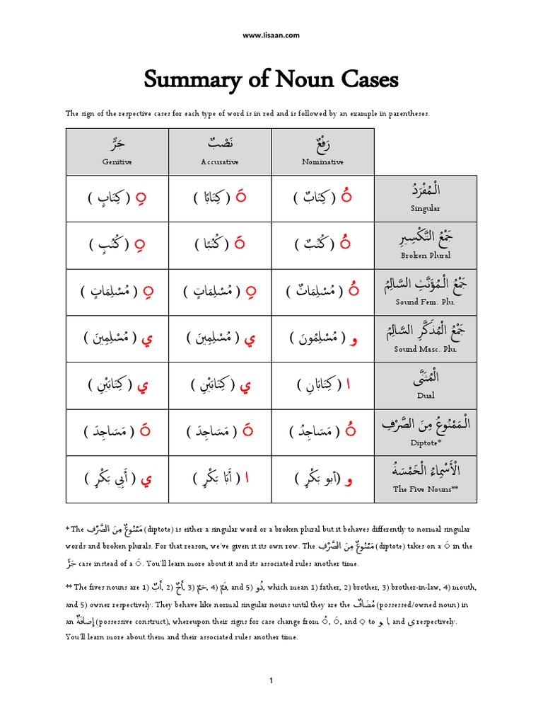 Arabic Case Notes | PDF | Grammatical Number | Morphology