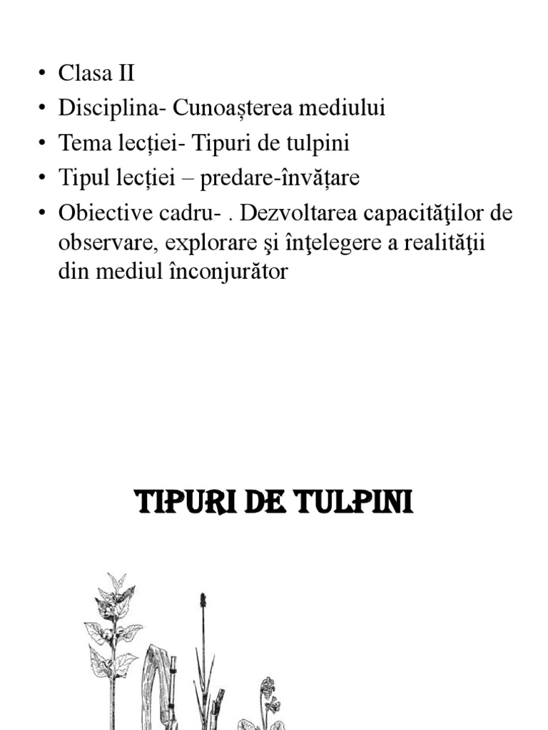 Tipuri de Tulpini | PDF