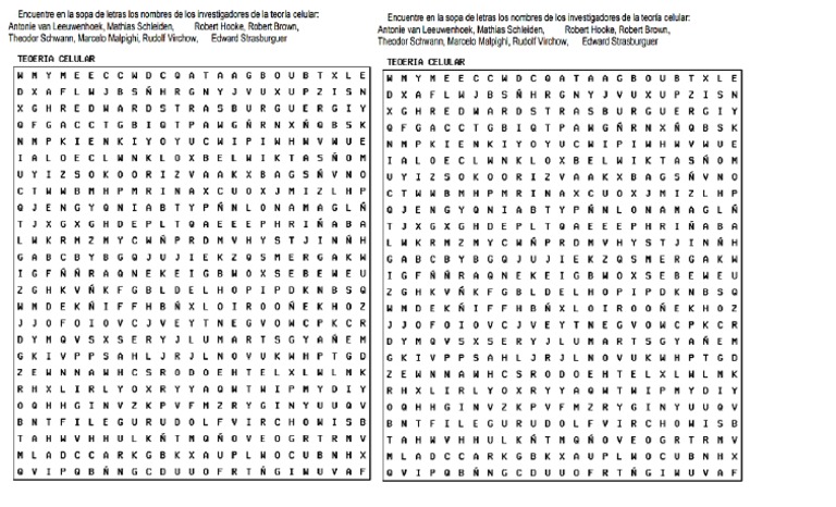 Sopa de Letras Teoria Celular