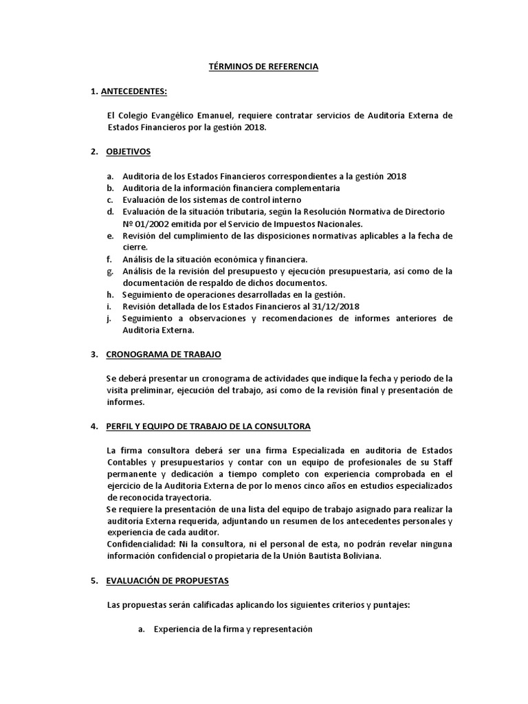 Términos de Referencia (Auditoria Externa Emanuel) | PDF | Auditoría ...