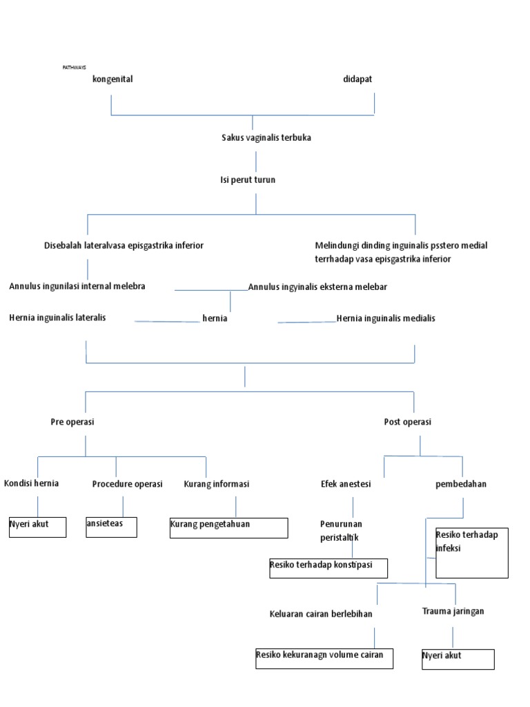 Pathways Hernia dan Pembedahan Operasi | PDF