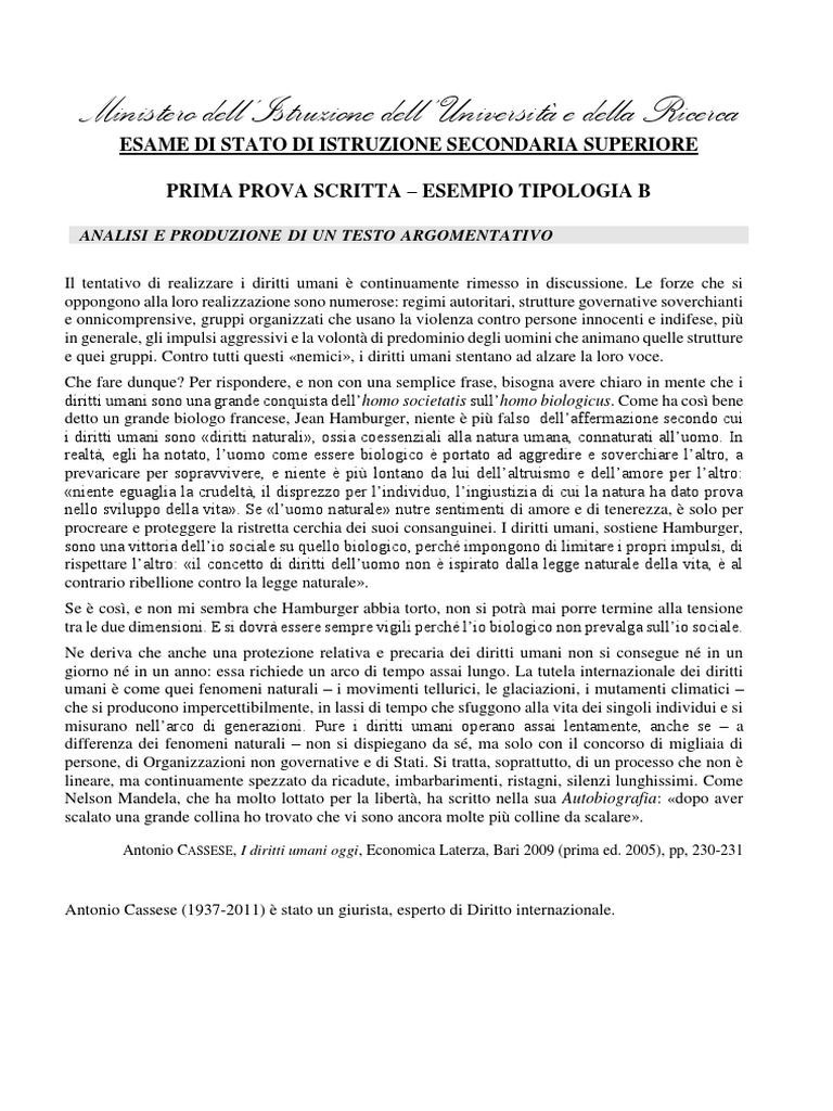 Esempio testo argomentativo sui diritti umani Esempio testo argomentativo sui diritti umani