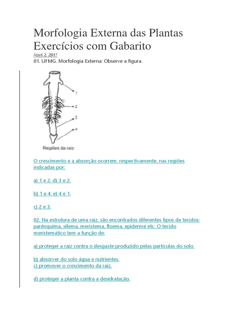 Morfologia Externa Das Plantas Exercícios Com Gabarito | PDF | Raiz ...
