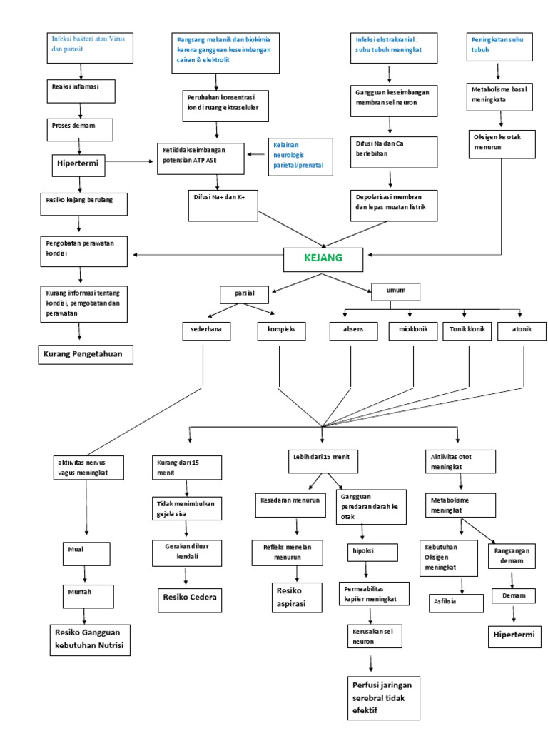 WOC Kejang Demam | PDF