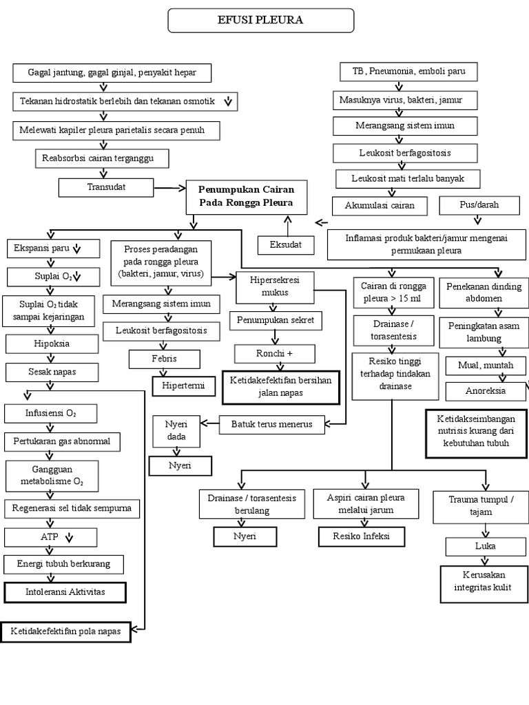 Efusi Pleura Pathway | PDF