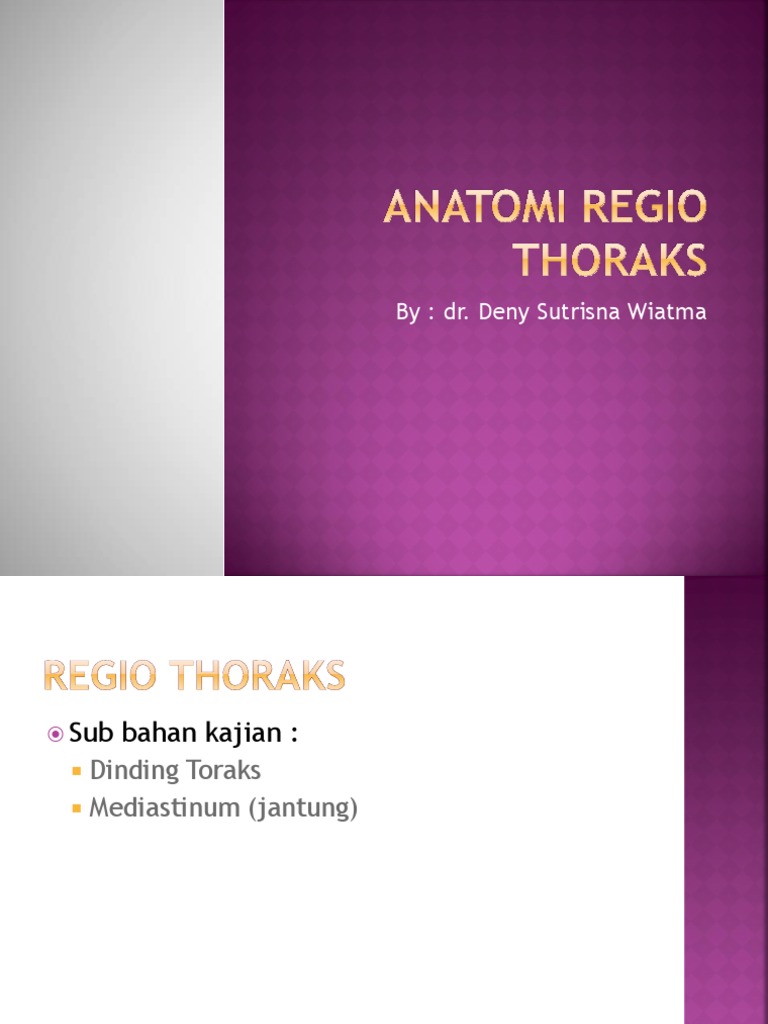Anatomi Regio Thoraks | PDF