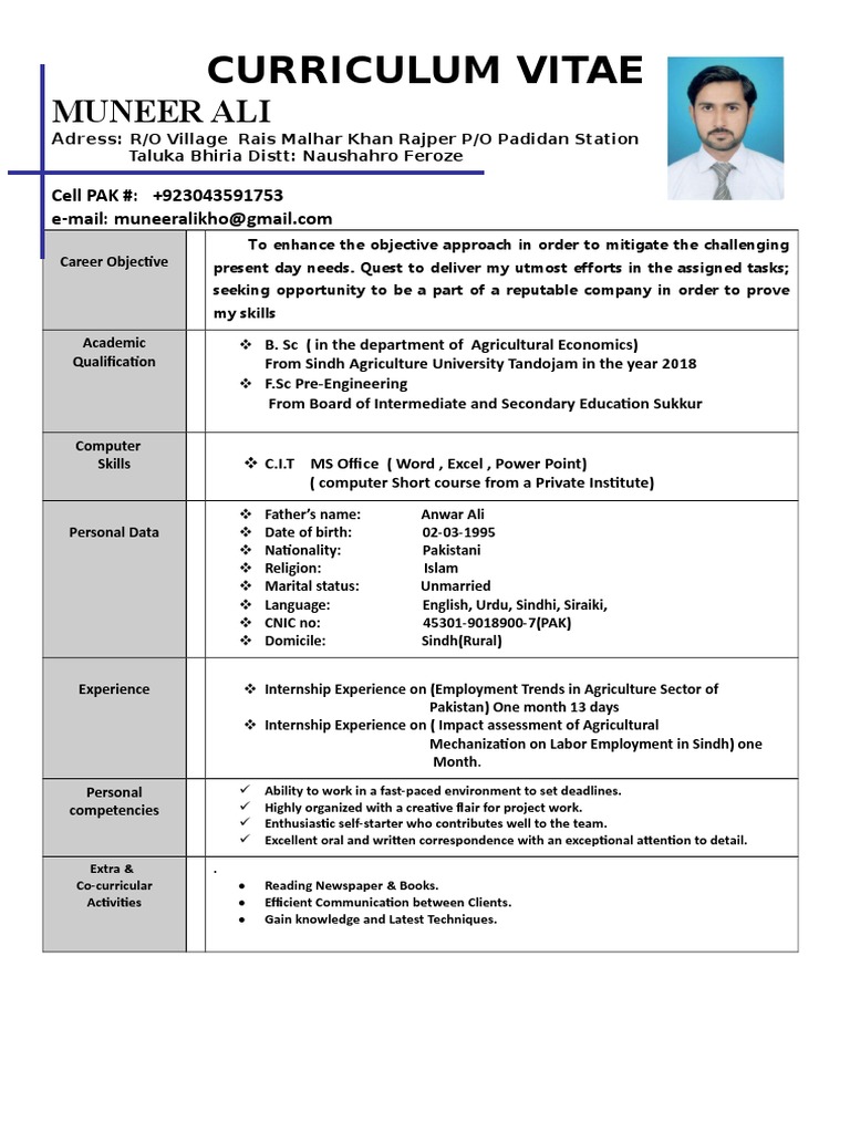 Curriculum Vitae: Muneer Ali | PDF | Sindh | Pakistan