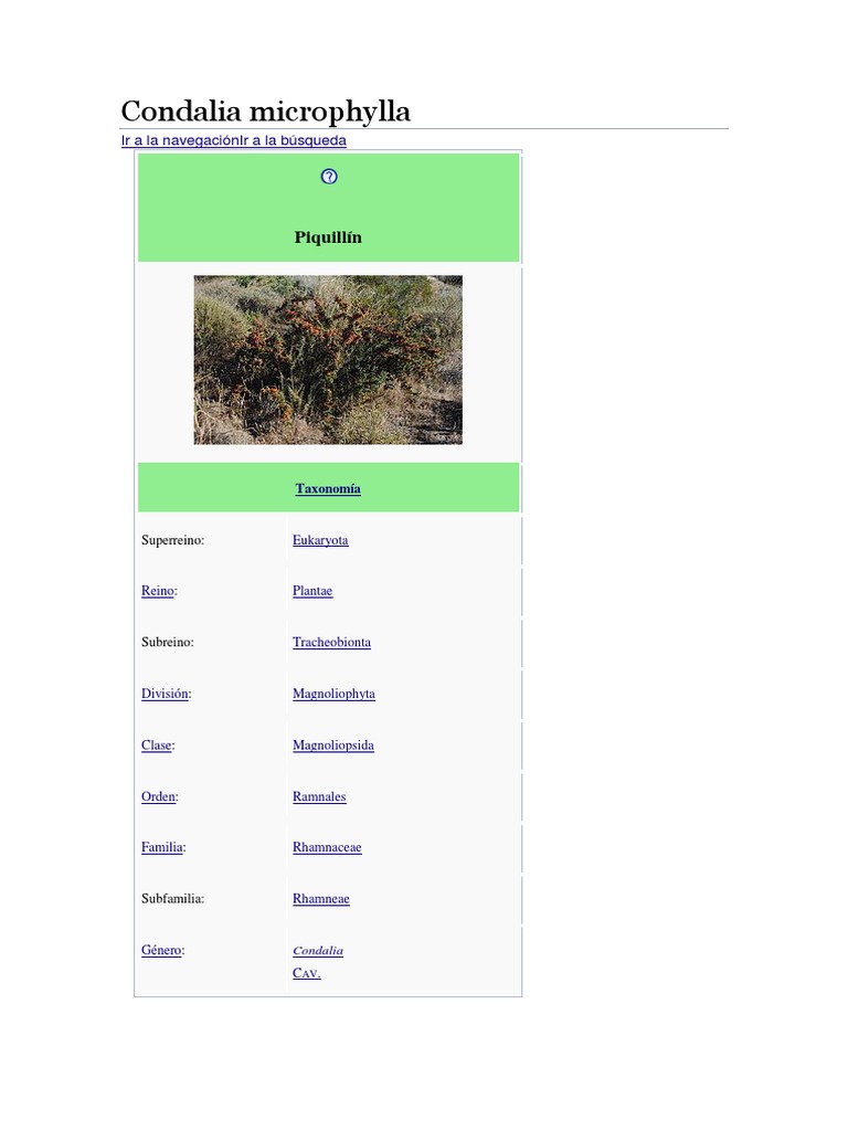 Características del Piquillín (Condalia microphylla) | PDF | Botánica ...