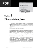 Infografia Lenguaje Java | PDF