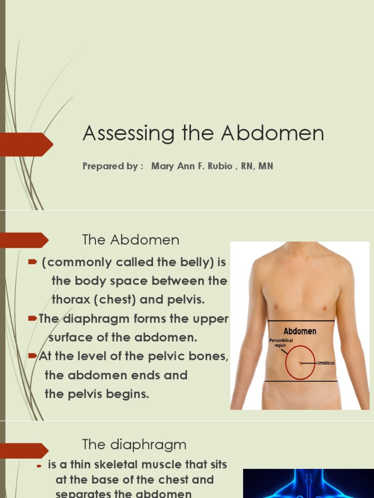 Assessing the Abdomen: A Comprehensive Guide to the Four Methods of ...