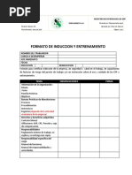 Formato Evaluacion Efectividad de La Induccion | PDF