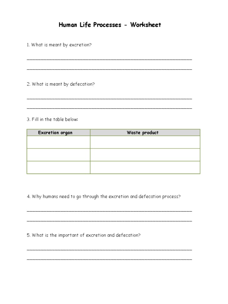 Human Life Processes | PDF