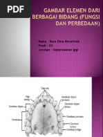 Jenis dan Fungsi Gigi Manusia | PDF