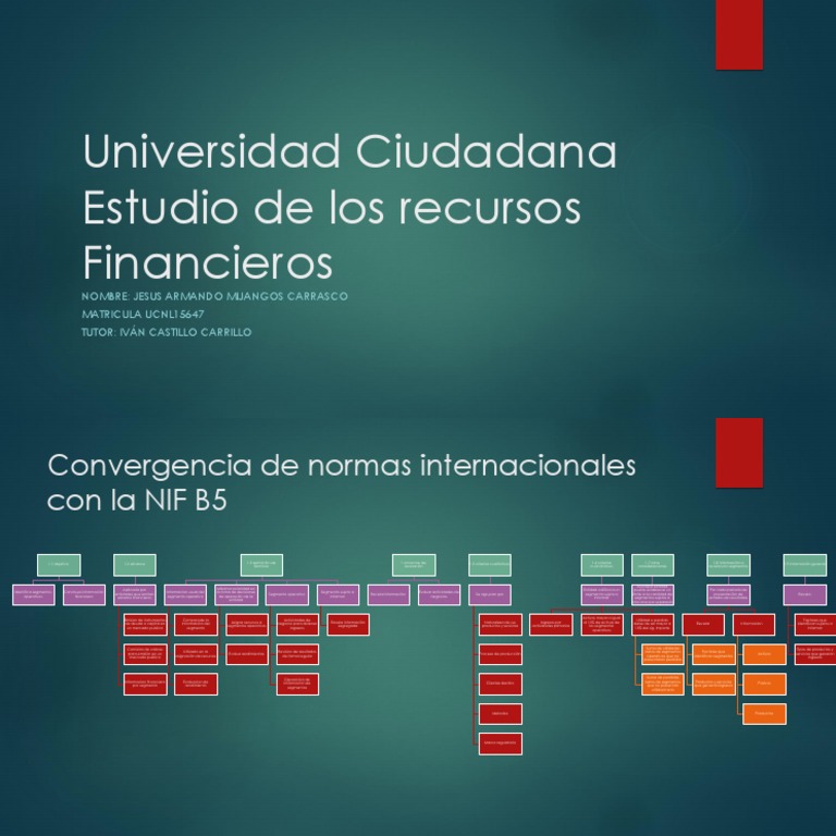 Mapa Nif b5 | PDF | Evaluación | Business