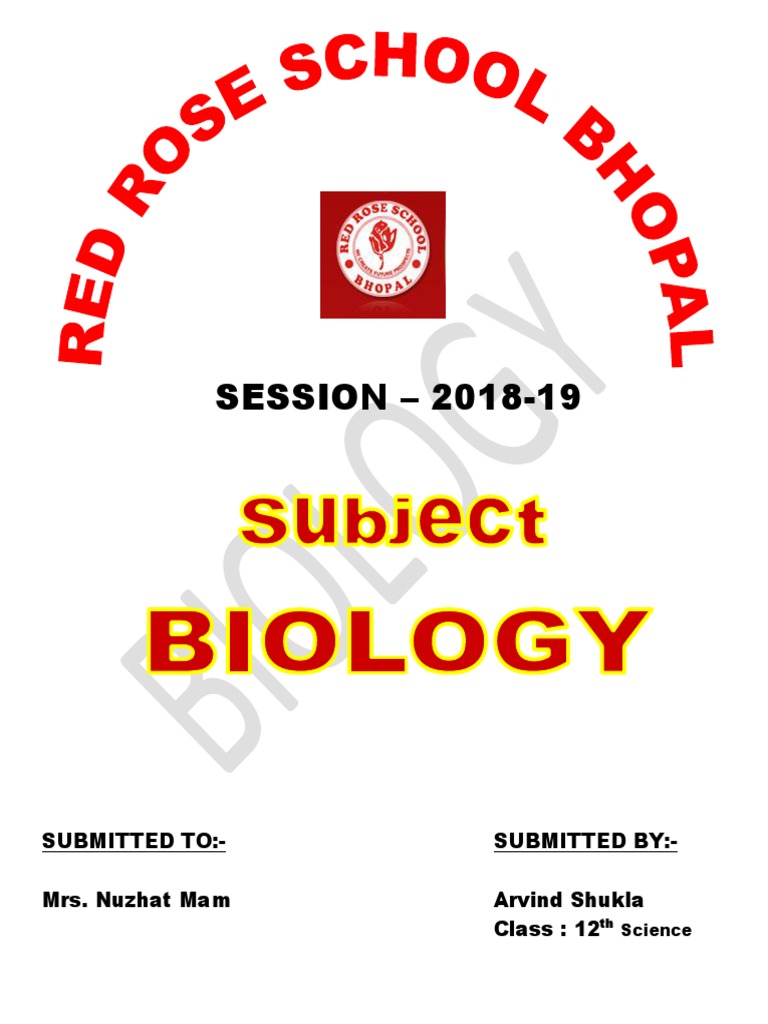 Red Rose School Karond | PDF