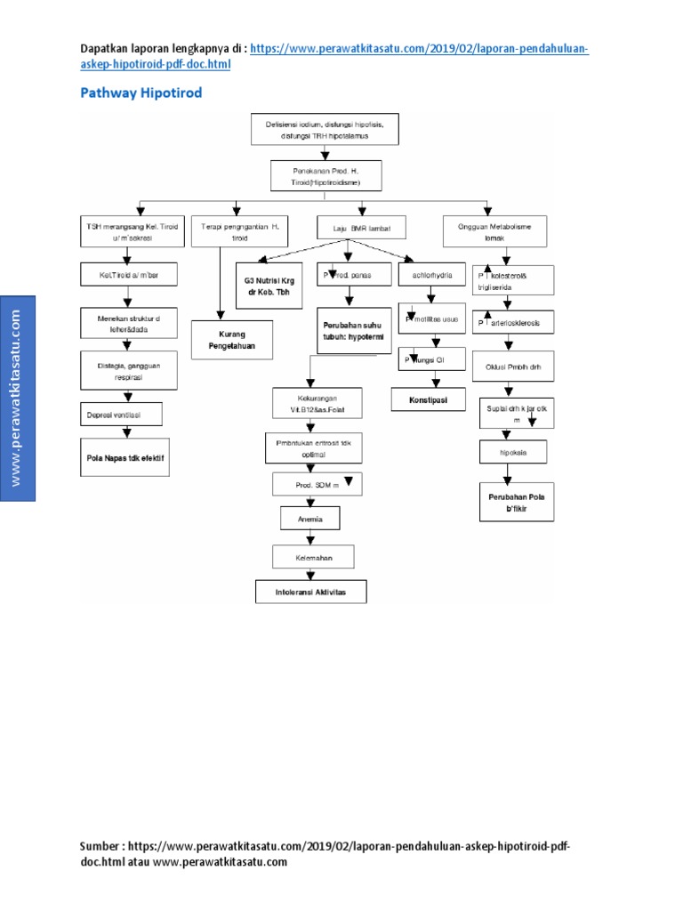 Pathway Hipotirod | PDF | Ilmu Sosial | Teknologi & Rekayasa