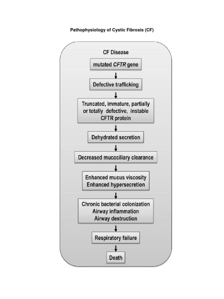 Cystic Fibrosis Pathophysiology Explained | PDF