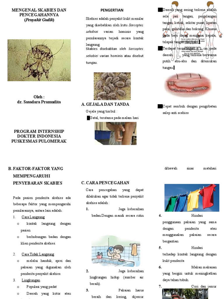Panduan Lengkap Skabies dan Pencegahannya | PDF