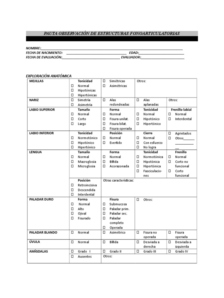 Pauta de Observación Efa | PDF | Boca | Cara