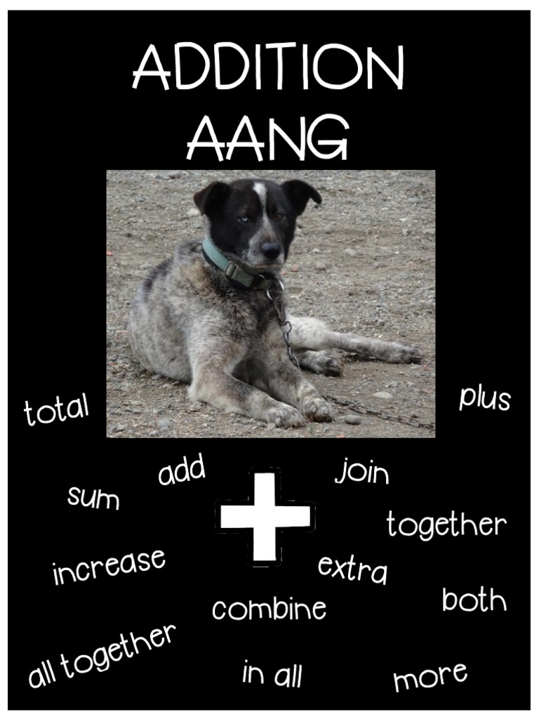Math Operations Vocabulary Guide | PDF