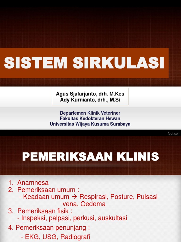 Sistem Sirkulasi | PDF