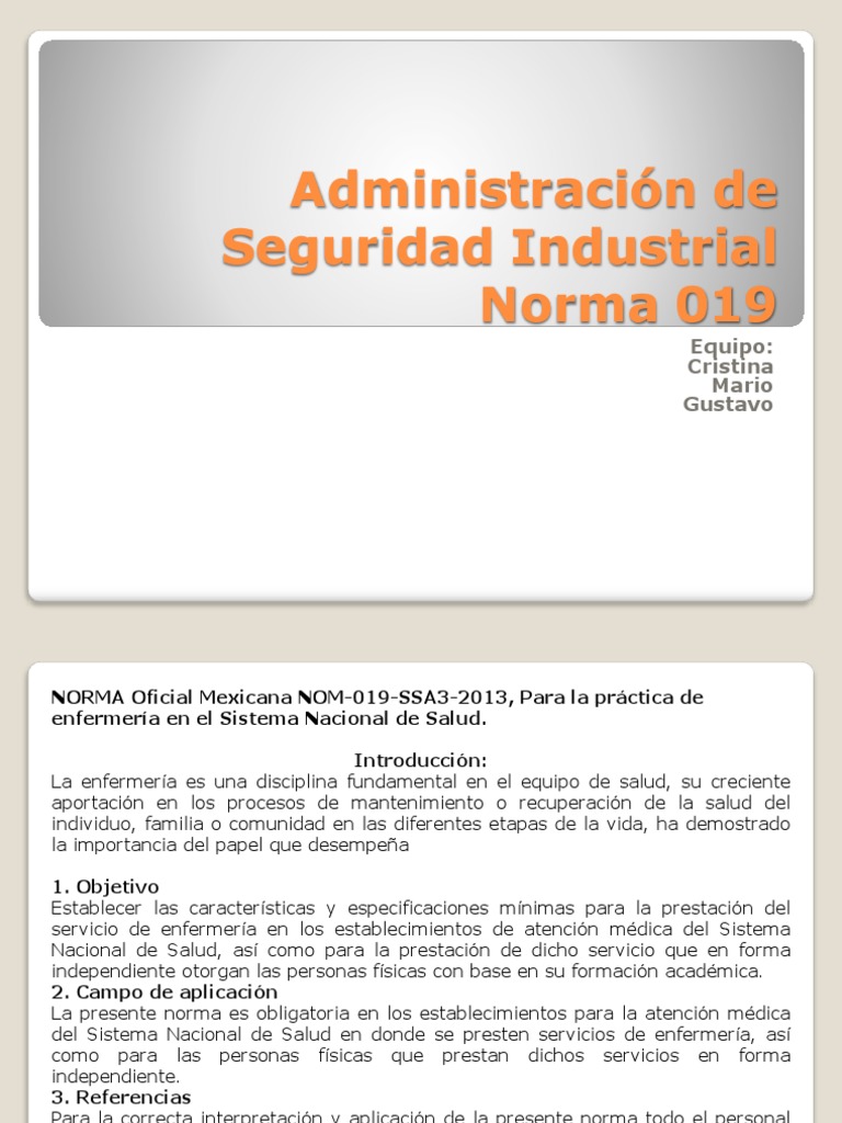 Ppt. Exposicion Norma 019 | PDF | Enfermería | Gestión de recursos humanos