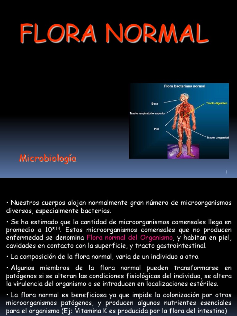 Flora Normal | PDF | Microbiología | Especialidades Medicas