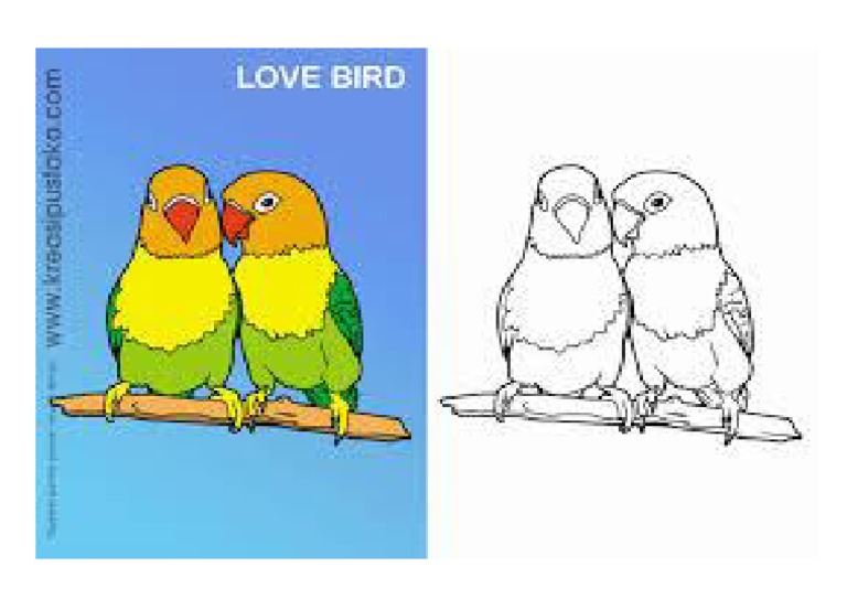 Love Bird | PDF
