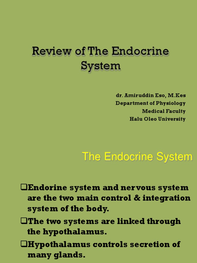 Review of The Endocrine System: Dr. Amiruddin Eso, M.Kes Department of ...