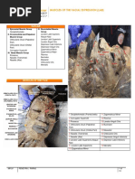 Anatomy of the Oral Cavity | PDF | Tongue | Mouth
