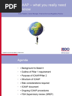 ECB clarification on ICAAPs and ILAAPs | PDF | Risk | European Central Bank