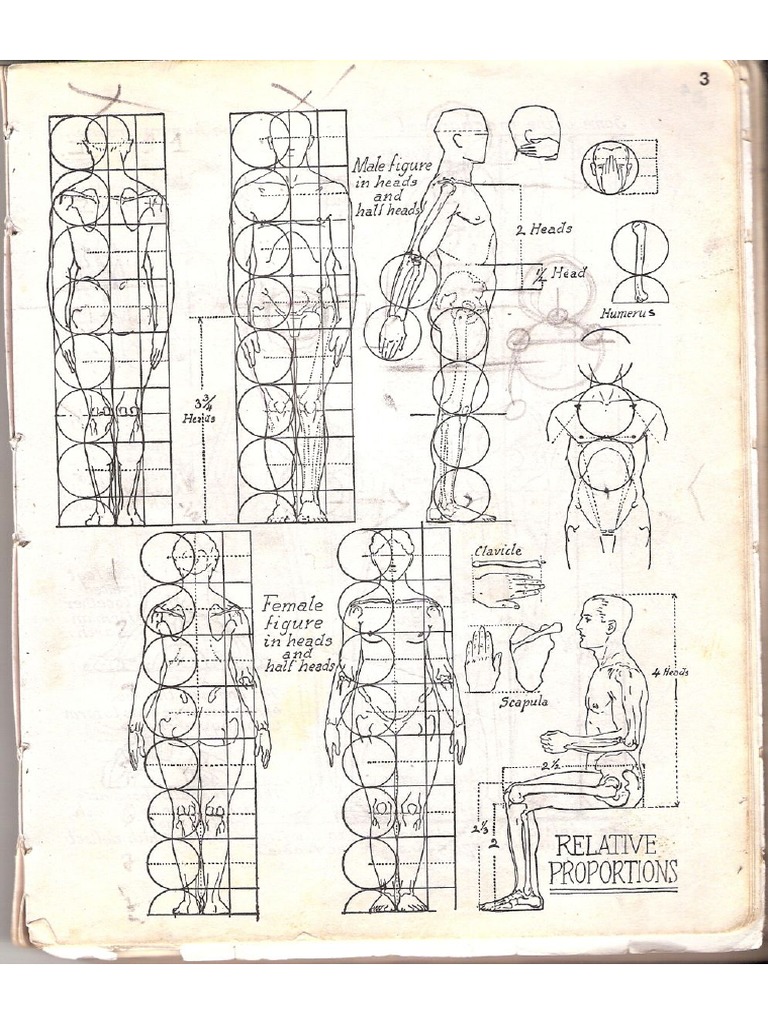 Victor Perard Proportions | PDF