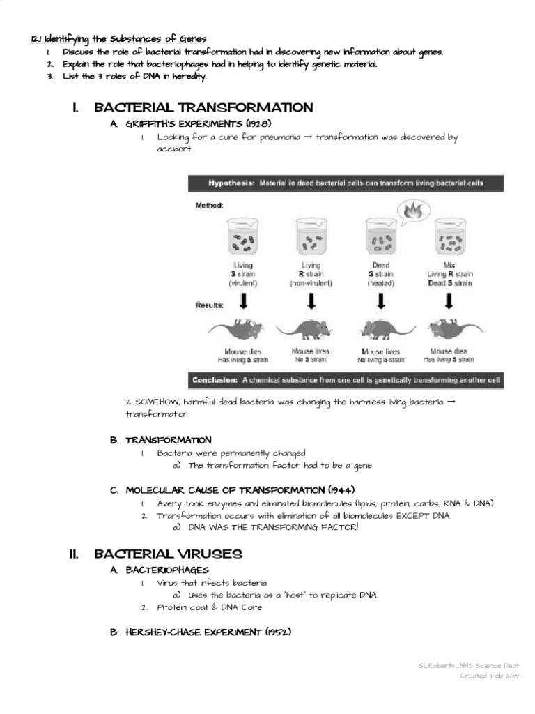 I. Bacterial Transformation: 12.1 Identifying The Substances of Genes ...