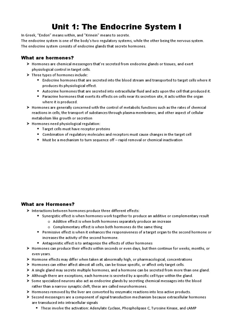 Understanding the Endocrine System | PDF | Hormone | Endocrine System
