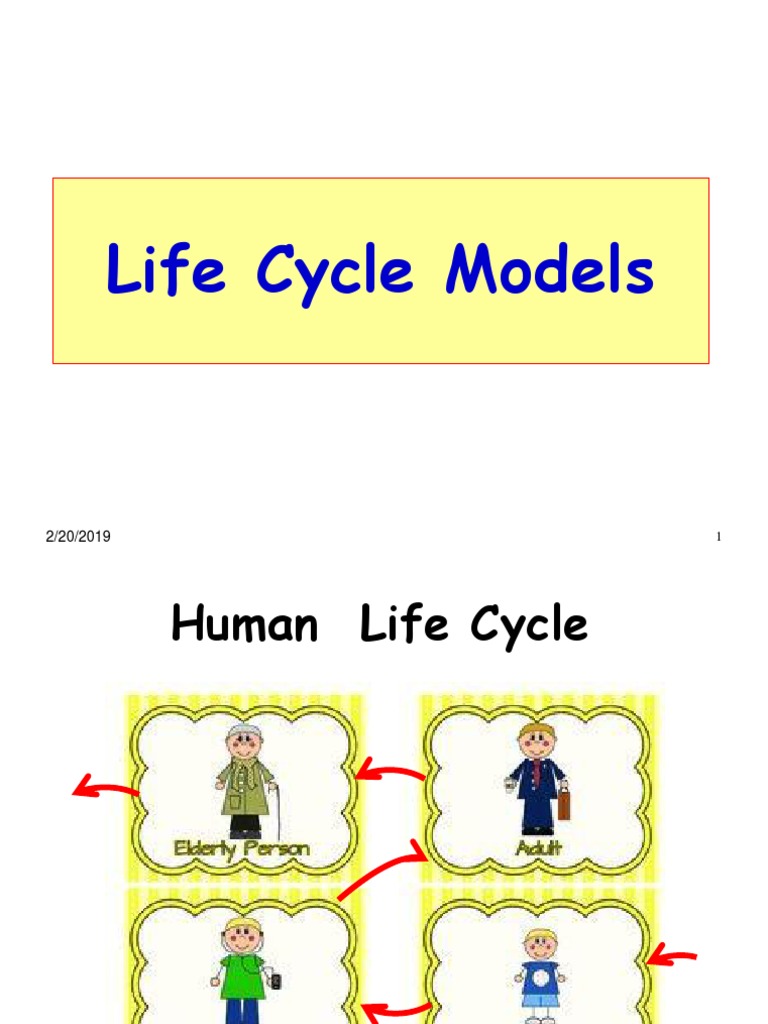 Life Cycle Models | PDF | Software Development | Software Testing